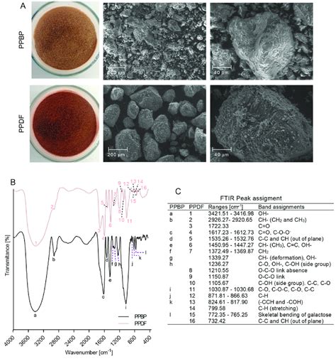 A Field Emission Scanning Electronic Microscope Fesem Micrographs