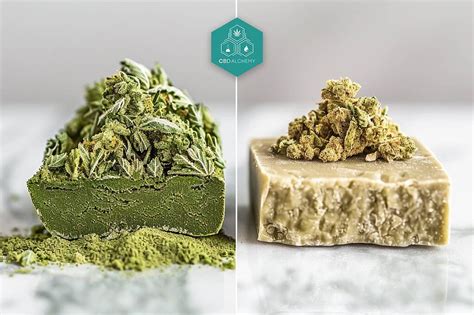 Hashish Effects Risks And Health Regulation Cbd Alchemy