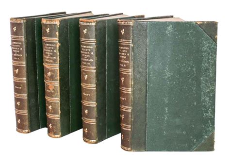 The Flowering Plants Grasses Sedges And Ferns Of Great Britain Anne