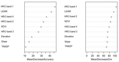 Mean Decrease For Variable Importance And Gini Index For The Vegetation