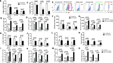 Expression Of Pro And Anti Apoptotic Proteins In Productively