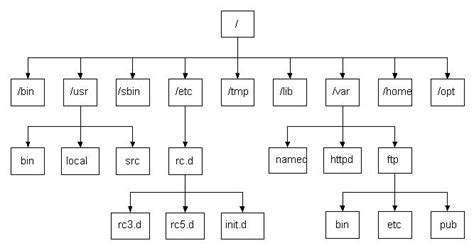 Linux基础知识总结linux知识点简单总结 Csdn博客