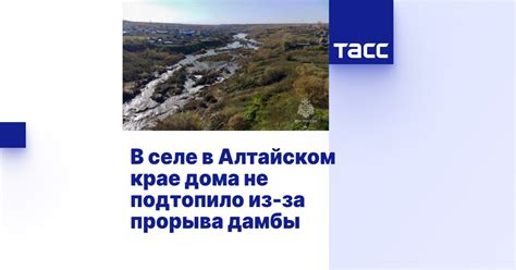 В селе в Алтайском крае дома не подтопило из за прорыва дамбы