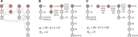 A The Forcing Paths Of Four Drive Nodes In The IEEE 14 Bus System