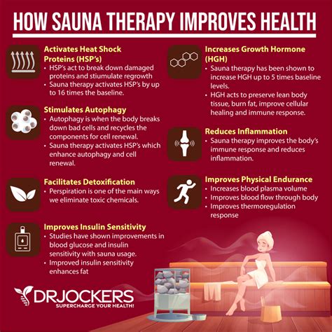 Brain Autophagy Healing The Toxic Brain