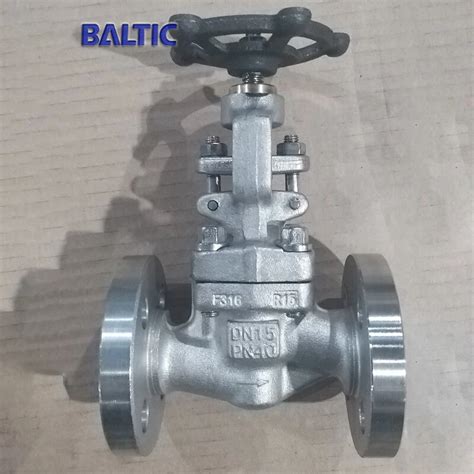 Dn15 Globe Valve Astm A182 F316 Pn40 Iso 15761 Rf China Manufacturers