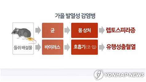 벌초·추수할 때 진드기·쥐 매개 감염병 조심하세요 한국경제
