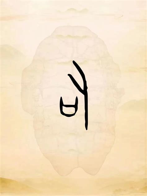 司字五行属什么 五行属水最旺的字 周易算命网