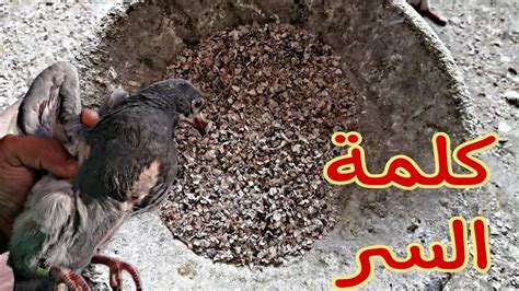 شوف اشتريت ايه للحمام🙏😍وهعمل بيه ايه Youtube