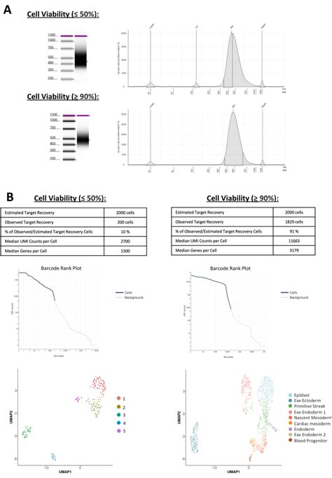 Single Cell Rna Sequencing Of Mutant Whole Mouse Embryos From The