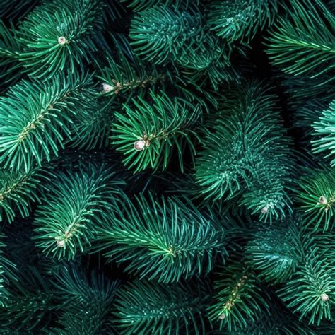 Premium Ai Image Macro Shot Of The Delicate Pine Tree Needles