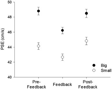 PSEs Plotted As A Function Of Test Phase And Paddle Sizes For Download Scientific Diagram