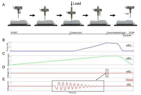 A Experimental Protocol Involving Indentation Of The Ultrasound Probe