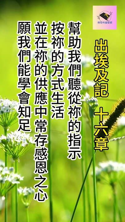 以色列人在曠野中，他們經歷神的供應與信實。神聽到祂子民的呼求，並以奇蹟般的方式滿足他們的需要。 讀經 創世紀 靈脩 禱告 基督