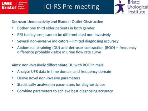 ICI RS Pre Meeting Rui Li Ppt Download