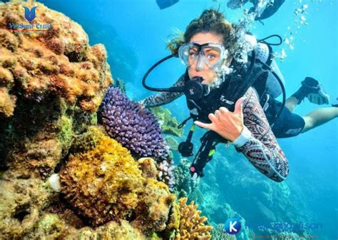 Top 5 Những địa điểm Nổi Tiếng ở Úc Australia Bạn Nên Biết Du Lịch