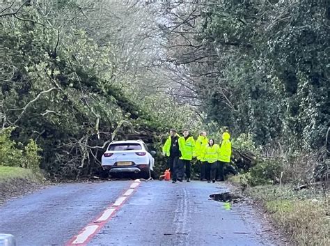 Hombre De 50 Años Muere Al Ser Aplastado Por Un árbol En Inglaterra