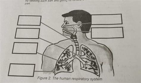 By Labeling Each Part And Giving Part StudyX