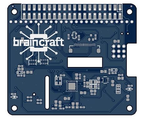 First Look At The BrainCraft HAT For Raspberry Pi And Single Board Linux Computers Adafruit