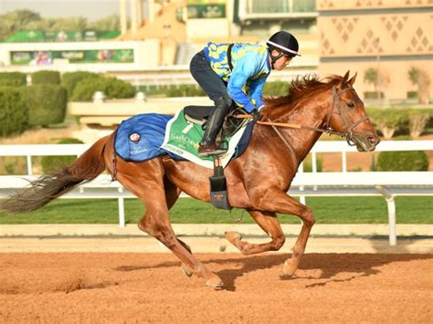 【サウジcオッズ】レモンポップが日本馬最上位 米国のホワイトアバリオが1番人気 競馬ニュース Netkeiba