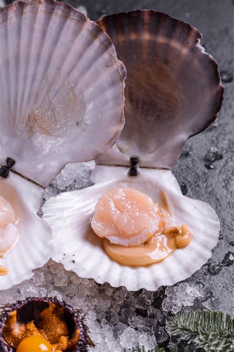 Морской гребешок Что надо знать Полезные свойства и как готовят Все об устрицах Дзен