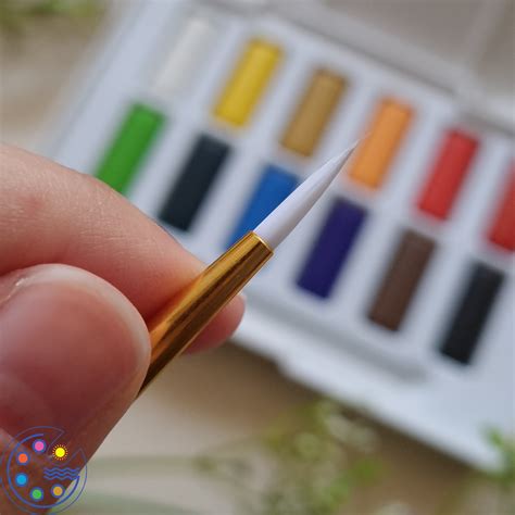 آبرنگ دلفین 12 رنگ مسافرتی جیبی آرت شاپ گناوه