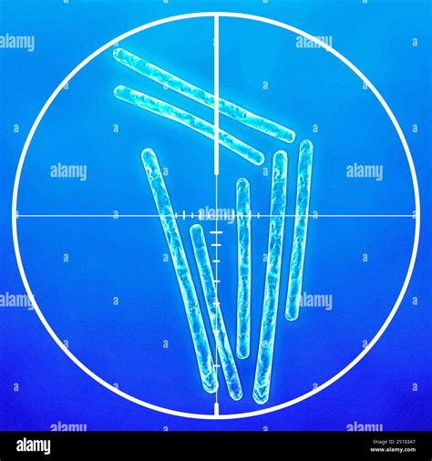 Avian Flu Mutated Virus Avian Influenza Virus Microscopic View Of