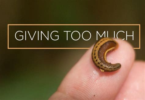 Giving Too Much