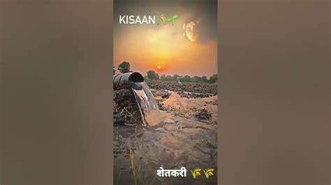 शेतात गवला पाणी देताना शेतकरी वायरल Youtube