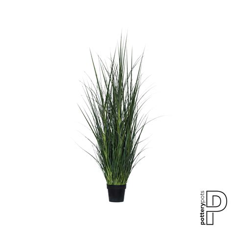 Трава Grass в кашпо в Москве и Санкт-Петербурге: цена 3 722,00 руб ...