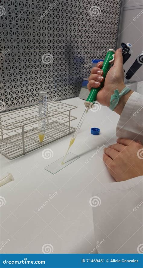Laboratory Process For Semen Samples For Fertility Analisys Stock Image CartoonDealer Com