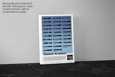 Red Hot Chili Peppers Stadium Arcadium Album Art Music Poster Sold By