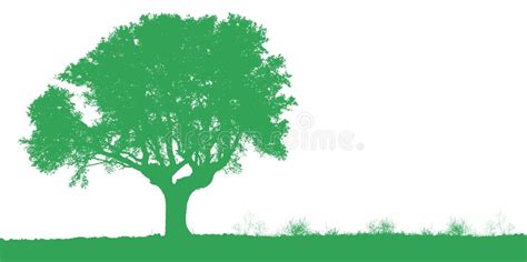 Tree Forms Stock Illustrations 6384 Tree Forms Stock Illustrations