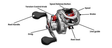 5 Types Of Fishing Reels To Catch More Fish Academy