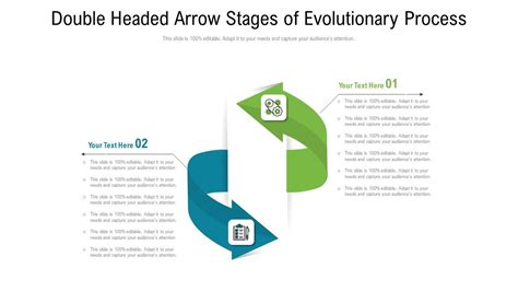 Double Headed Arrow Stages Of Evolutionary Process Themes Pdf