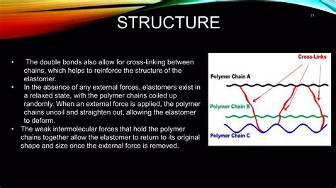 Elastomer For Textile Physics 1 Pptx