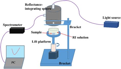 The Schematic Of The Optical Characterization Setup Download