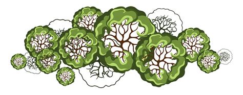 건축 평면도를 위한 나무 그룹 측근 디자인 다양한 나무 관목 및 관목 조경 설계 계획의 평면도 벡터 그림입니다 개체 그룹에 대한 스톡 벡터 아트 및 기타 이미지 Istock