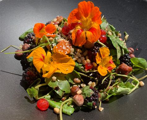 What Its Like To Visit Berkeleys Famous Cafe Ohlone