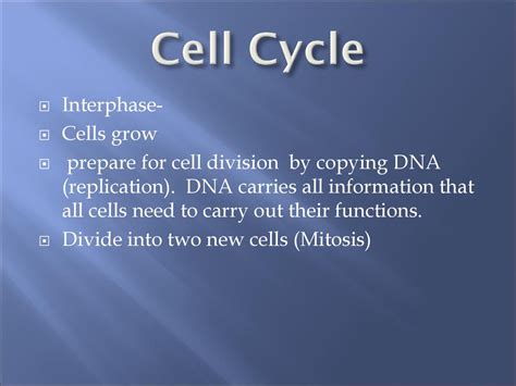 Interphase Cells Grow Ppt Download