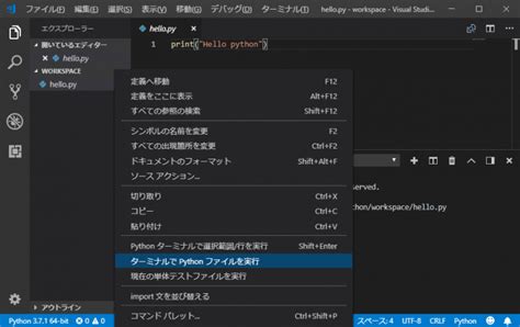 Pythonファイルの実行方法 Trelab