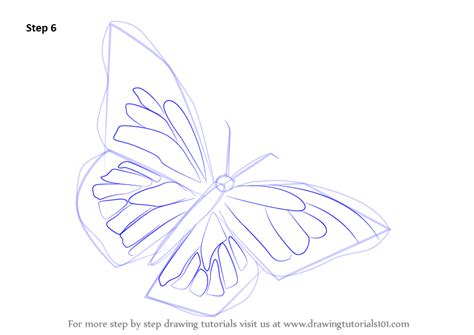 Monarch Drawing At Explore Collection Of Monarch