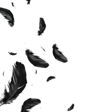 Falling Feathers Png