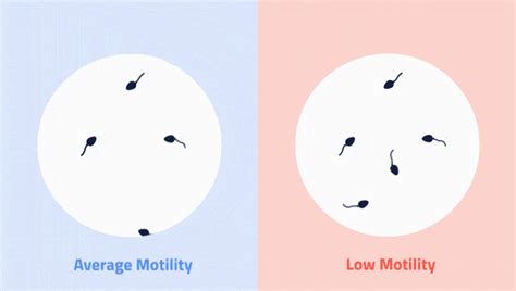 Home Sperm Test Exseed Health