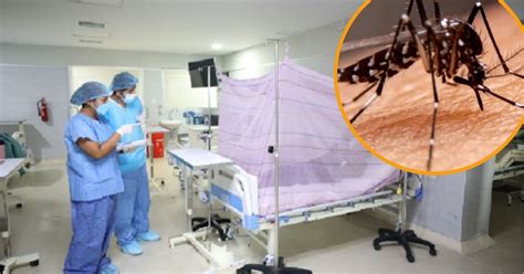 Dengue En Perú Postas Médicas Y Hospitales A Punto De Colapsar Por Incremento De Casos En