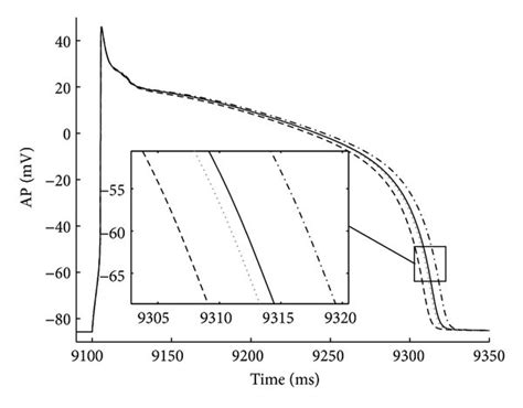 Verification Of Transporter Distribution Sensitivity Predictions