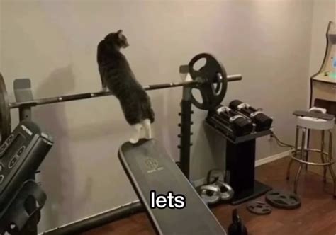Yippiee R Wunkus
