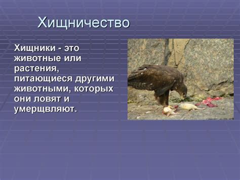 Отношения организмов в сообществе презентация онлайн