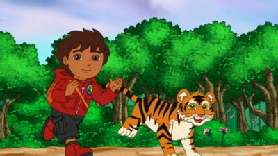 Watch Go Diego Go Season 4 Episode 5 Diegos Ringed Seal Rescue