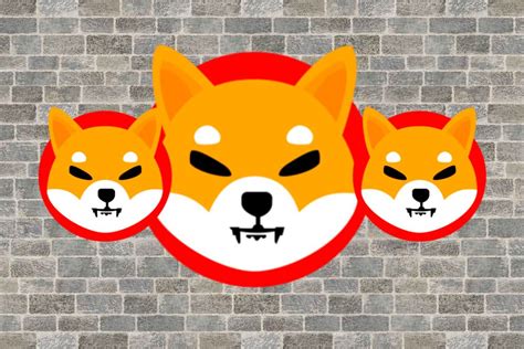 Shiba Inu Team Member Shib Is Still On Track For A Super Cycle Times